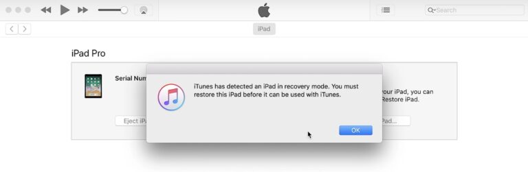 iPad Black Screen of Death: 11 fixes to try before panicking ...