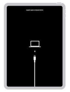 iPad Black Screen of Death: 11 fixes to try before panicking ...